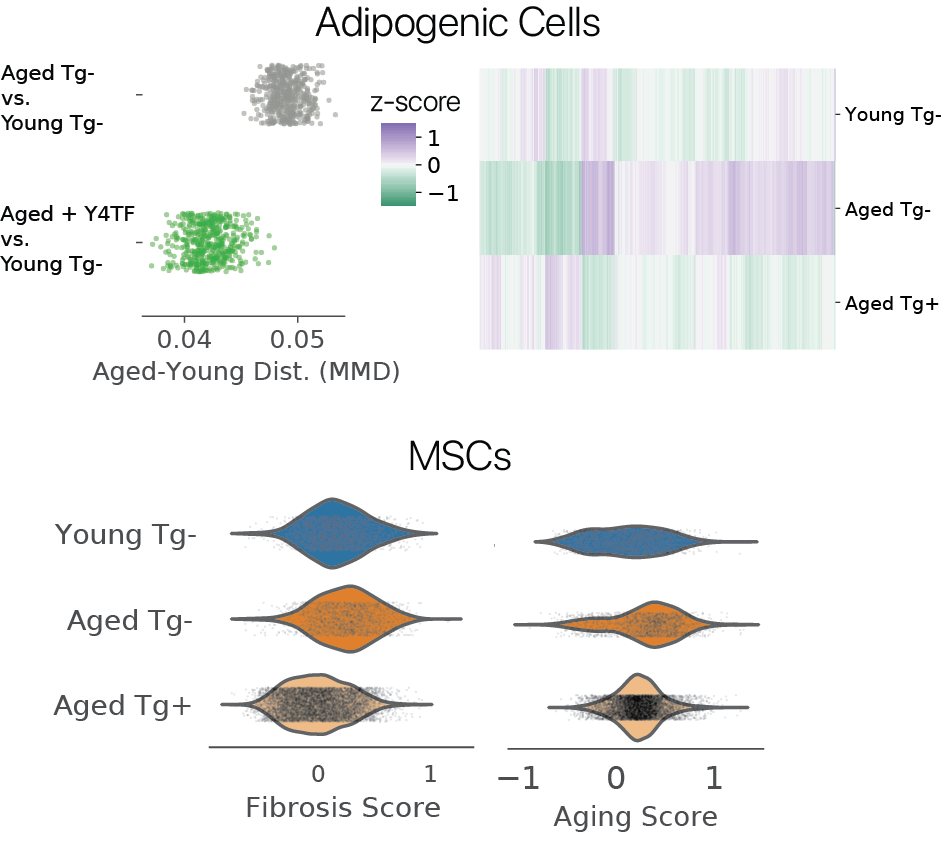 Murine aging cell atlas | Calico research