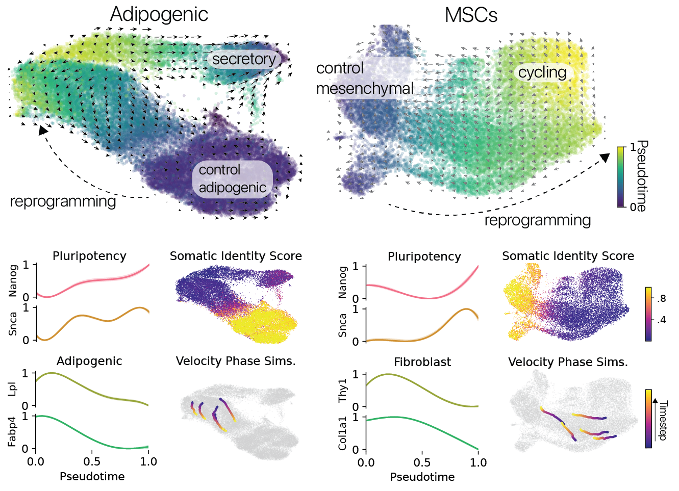 Murine aging cell atlas | Calico research