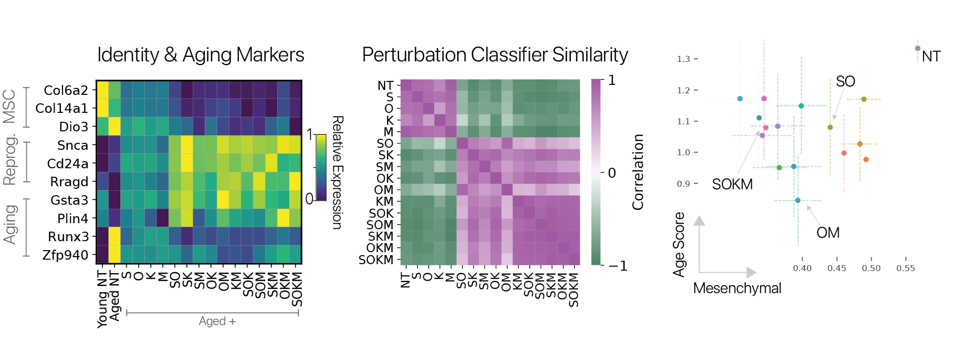Murine aging cell atlas | Calico research